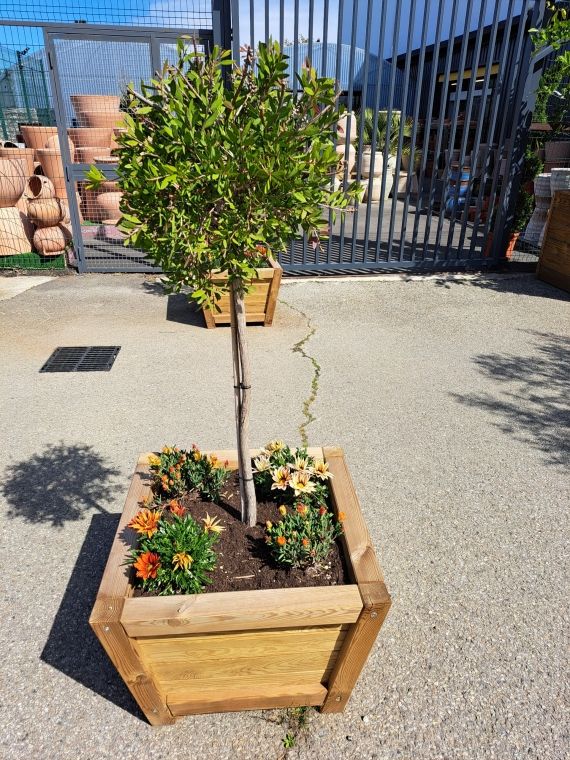 Bacs à fleur proposés par VertSide à Carpentras dans le Vaucluse